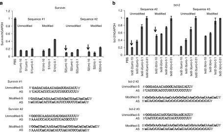 Introducing Modifications To The Selected Small Interfering RNA SiRNA Download Scientific