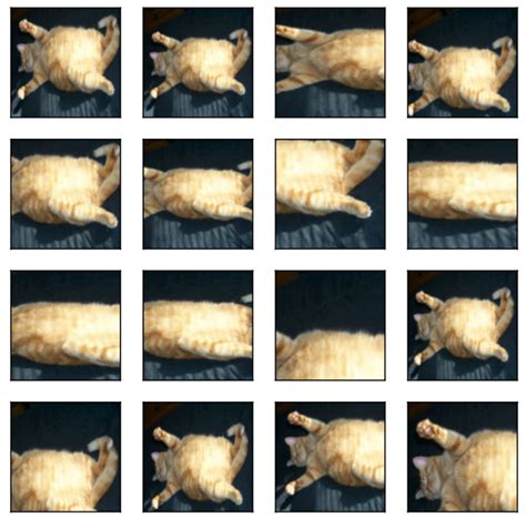 36 37 【动手学深度学习】图像增广微调 Csdn博客