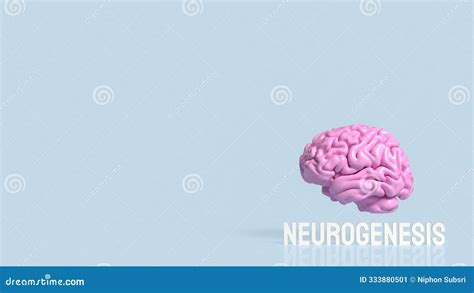 The Brain And Neurogenesis Text For Sic Or Health Concept 3d Rendering Stock Image