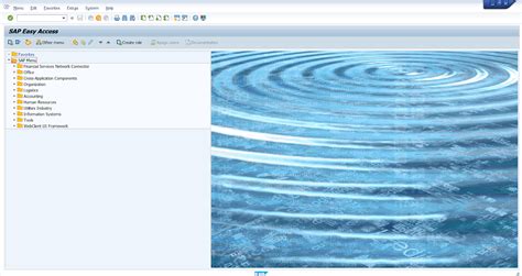 Programming For Beginners Log In To Sap System Using Sap Gui