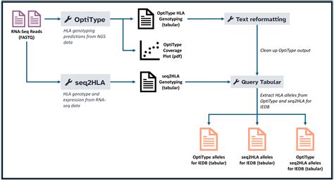 Hands On Neoantigen A Predicting HLA Binding Neoantigen A Predicting HLA Binding Proteomics