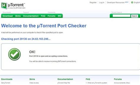 Quick Tip Test If Your Port Is Open Lirent Net