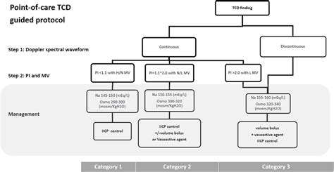 Tcd Guided Cerebral Resuscitation Protocol A Stepwise Management