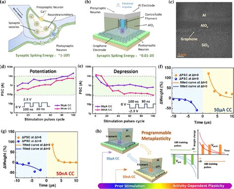 Graphene Based Memristive Neuromorphic Device A Schematic Diagram Of Download Scientific