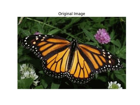 hammad shahid on linkedin python imageprocessing edgedetection computervision