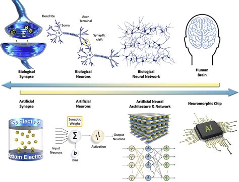 artificial neural networks made from memristors for brain inspired