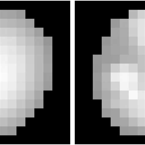 Cross Sections Of Simulated Objects Both Three Dimensional Objects Download Scientific Diagram