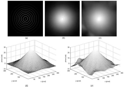 Order Assignment And Phase Interpolation For An Experimentally Obtained Download Scientific