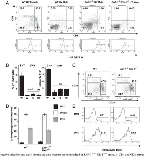 Figure 2 From Thymocyte Development But Not Net Are Functionally