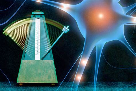 Neuroscientists Reveal Neuron Firing Patterns That Underlie Time