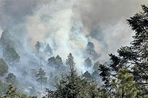 Video Cierra El Día Con Siete Incendios Forestales Activos Probosque