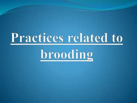 Brooding And Management Pptx