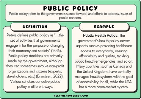 10 Public Policy Examples 2025