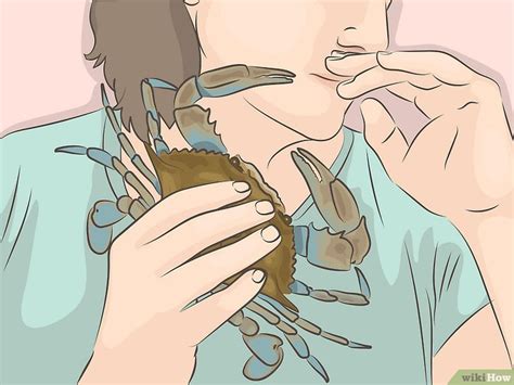 How To Eat Soft Shell Crab Buying Cleaning And Cooking Guide