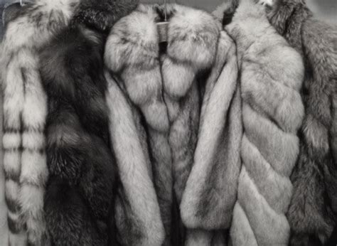 Vintage Fur Coats On Rack Silver Fox Aesthetic Iconic Fur Coats