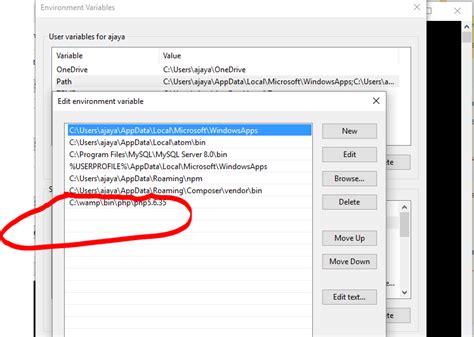 Laravel Error In Wamp Server Shows Error C Wamp Or PHP In PATH