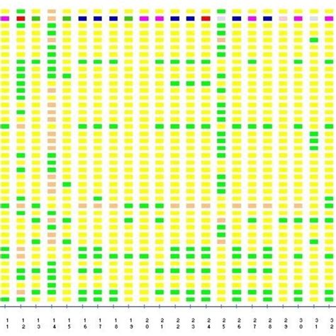 clustering by the tocher optimization method based on eight