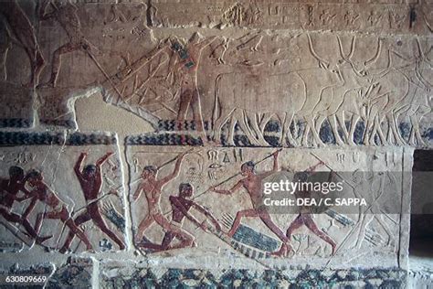 Khnumhotep And Niankhkhnum Photos And Premium High Res Pictures Getty
