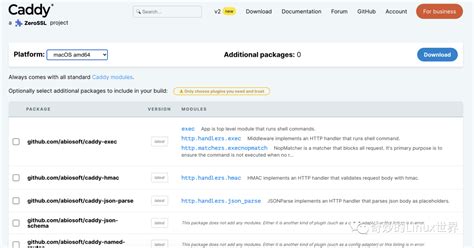 又一个比 nginx 功能更强大的 web 服务器 caddy 2 0 中文入门教程 csdn博客