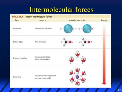 Intermolecular Forces