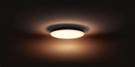 Philips Hue Ceiling Light Installation Shelly Lighting