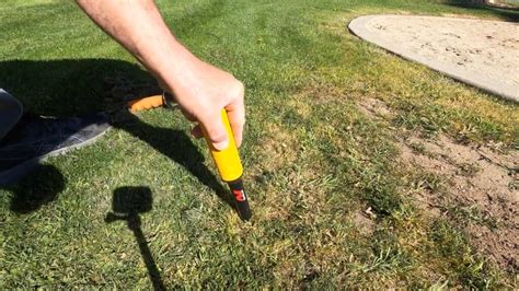 14 Best Pinpointer Metal Detector 2024 For Beginners And Professionals