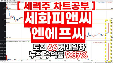 세화피앤씨 엔에프씨 세력주 차트 공부 Youtube