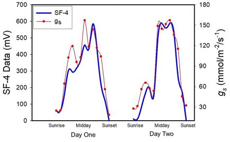 Continuous Stomatal Conductance Measurements Edaphic Scientific