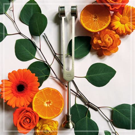 Premium Tuning Forks And Toolkits For Sound Healing