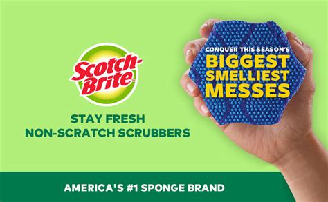 Scotch Brite Scrub Dots Advanced Non Scratch Scrubbers 2 Scrub Sponges 2 Scrub Sponges Non Scratch