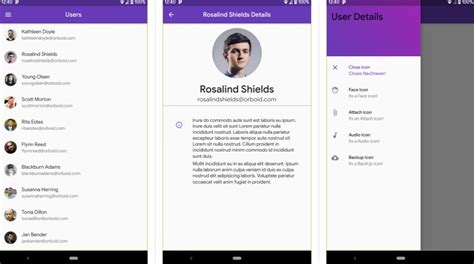App Demonstrating Json Data Parsing With Various Flutter Widgets
