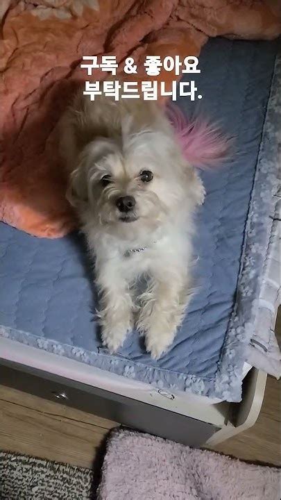 기쁨을 온몸으로 표현하는 화상이 Youtube