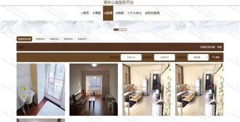 基于springbootvue的青年公寓服务平台含参考论文
