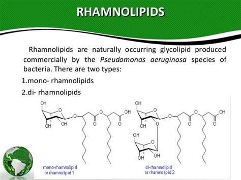 Rhamnolipids Biosurfactants