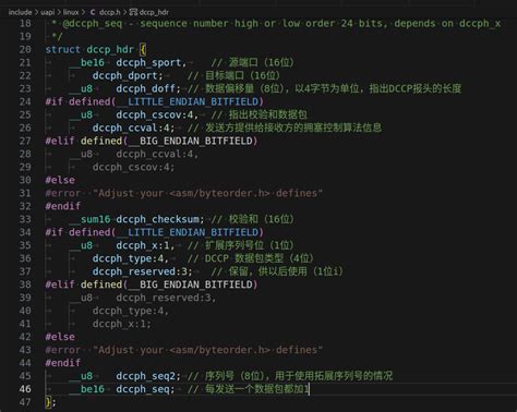 linux 内核源码分析 传输层（sctpanddccp） linux dccp csdn博客