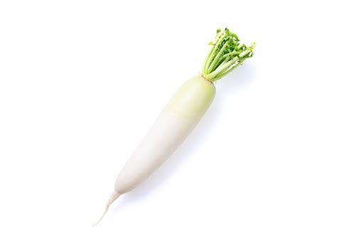 野菜図鑑 だいこん編野菜科学研究会