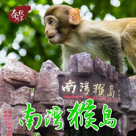 猴岛景区介绍 南湾猴岛旅游景点介绍 陵水南湾猴岛图片 第3页 大山谷图库