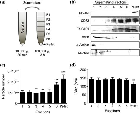 Lipidomic Characterization Of Extracellular Vesicles In Human Serum Pmc