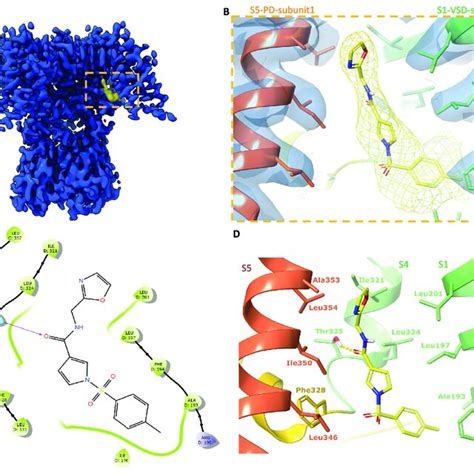 Workflow Of Structure Based Drug Design Sbdd Download Scientific
