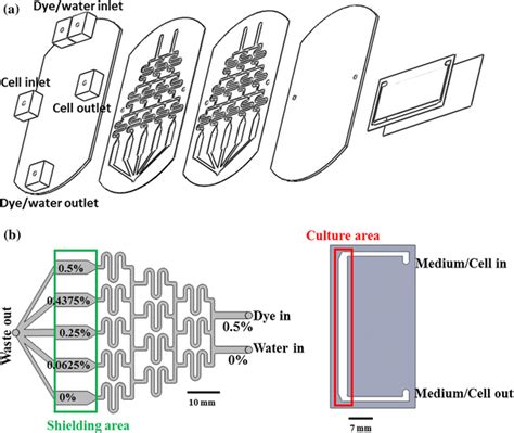 Design Of The Microfluidic Chip A From Left To Right 1 Mm Pmma Layer Download Scientific