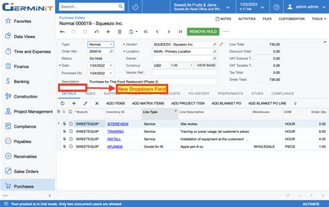 Tips How To Add New Dropdown Field In Acumatica Germinit