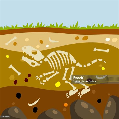 공룡 해골 선사 시대 도마뱀의 뼈 역사적인 발견과 고고학 적 발굴 플랫 만화 풍경 섹션에 착륙합니다 층이 있는 토양 고대 역사에 대한 스톡 벡터 아트 및 기타 이미지