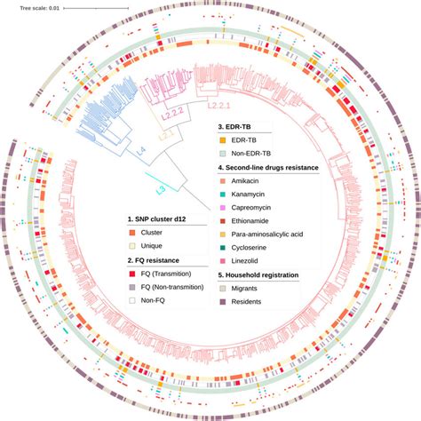 Phylogeny Clustering And Resistance Profile Of 850 Mycobacterium