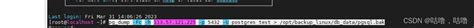Postgresql全量备份与增量备份命令与脚本（包含数据库安装在docker）pg库增量备份与全量备份 Csdn博客