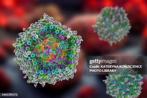 Lipid Nanoparticle Mrna Vaccine Illustration High Res Vector Graphic Getty Images