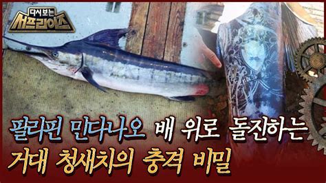 다시보는 서프라이즈 필리핀 민다나오 섬 배 위로 돌진하는 거대 청새치의 충격 비밀 Mbc190217방송 Youtube