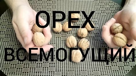 ПРИМЕНЕНИЕ СКОРЛУПЫ ГРЕЦКОГО ОРЕХА Youtube