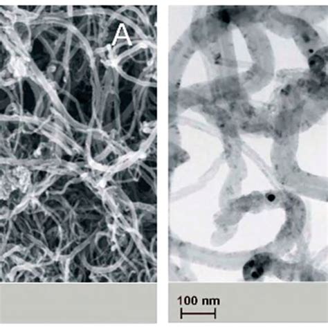 The Ultrastructure Multiwall Carbon Nanotubes A Images Taken Using A Download Scientific