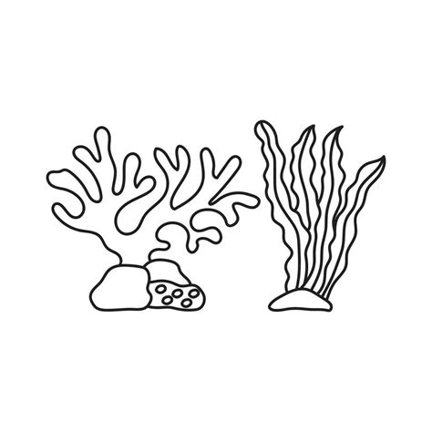How To Draw Underwater Coral Reef At Mark Dunning Blog
