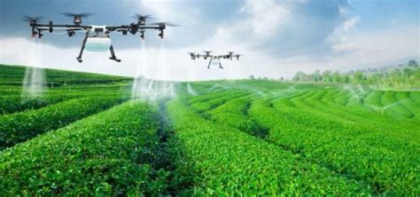 Parallel Robots Advantages Disadvantages What Can Parallel Robots Do Science Online